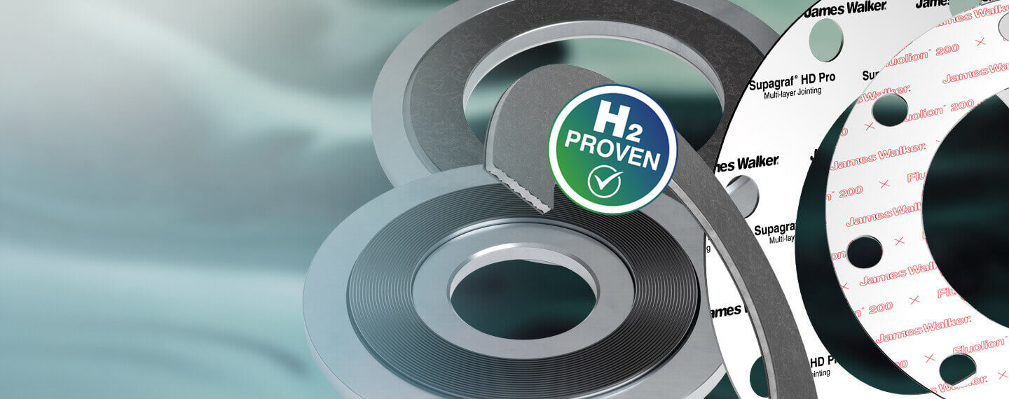 Gaskets for hydrogen service | James Walker